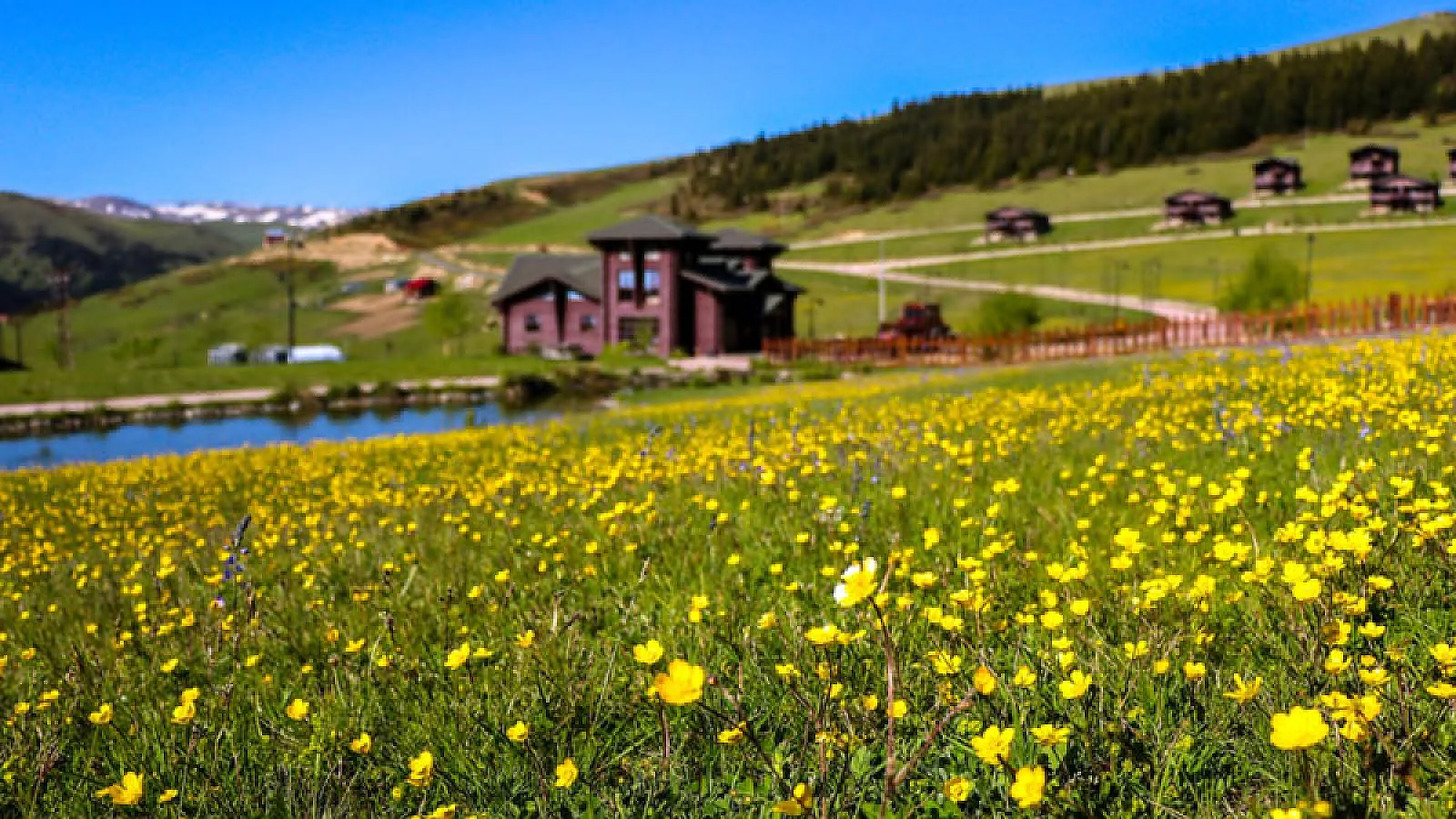 Türkiyənin Qaradəniz yaylaları təbiətlə iç-içə unudulmaz təcrübə təqdim ...